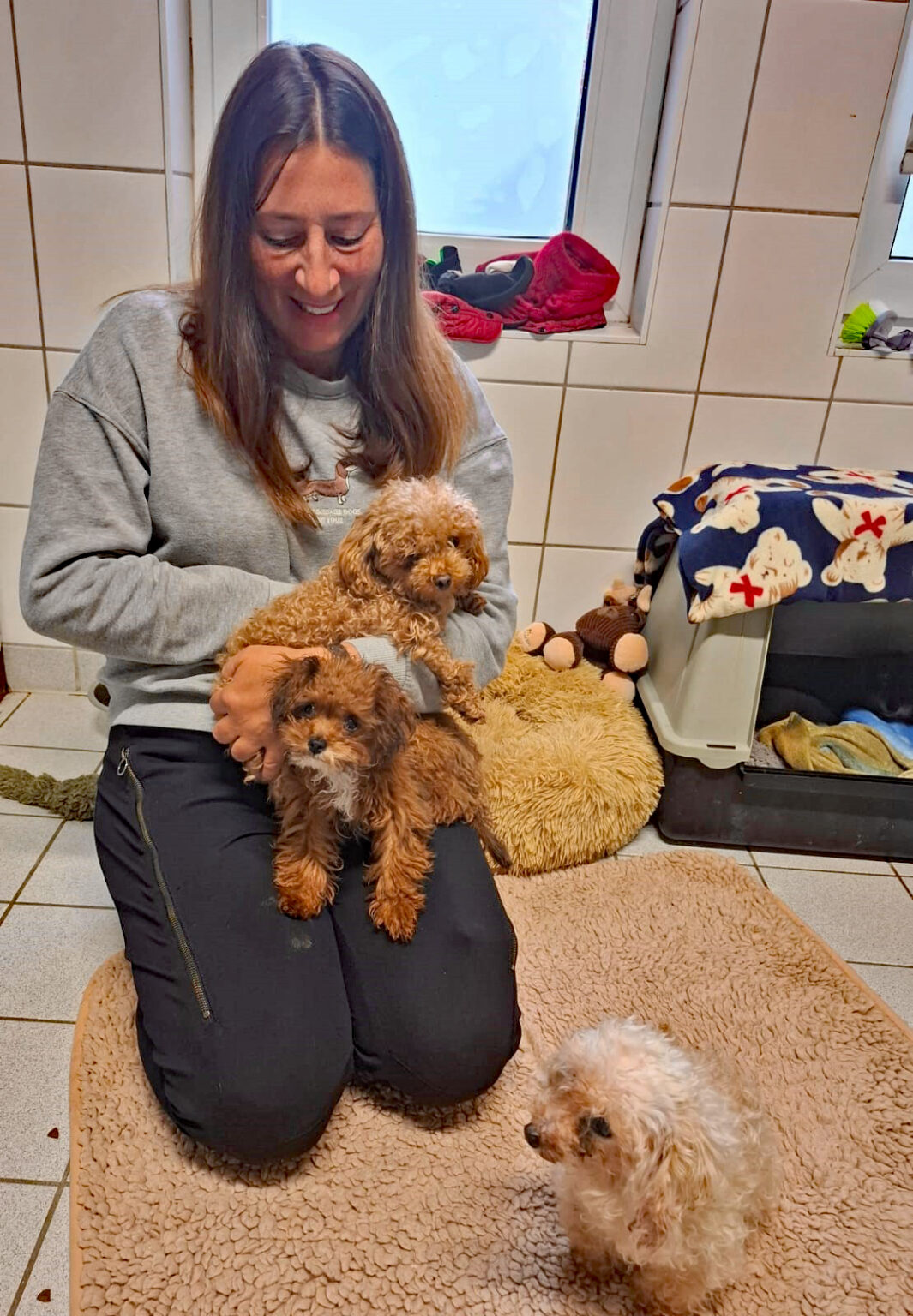 Spende Tanja - Tierheim des Tierschutzverein Roth